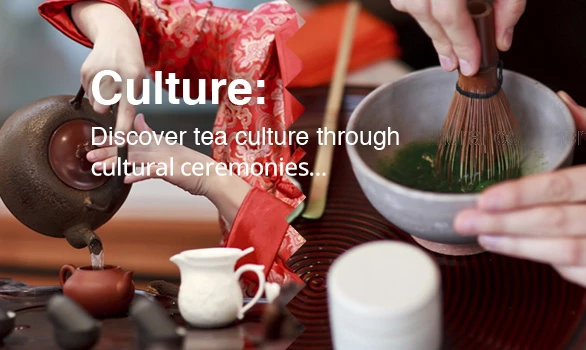 TEA EVENTS & FESTIVALS AROUND THE WORLD IN 2024-25 | Refresh Ideas